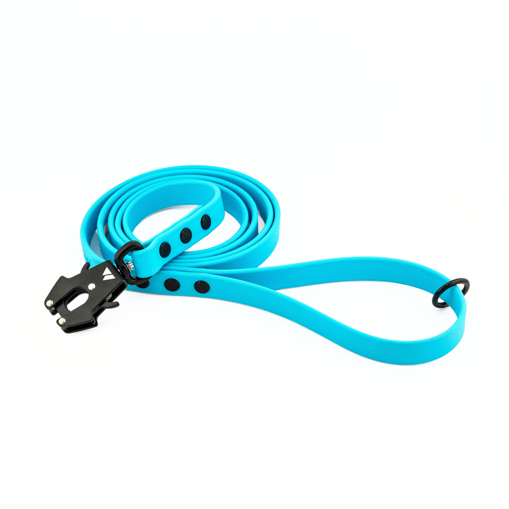 Element BioThane® Leash - Minimalist & Functional