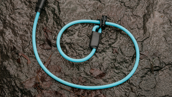 BioThane® Rope Slip Lead: Redefining Dog Leashes