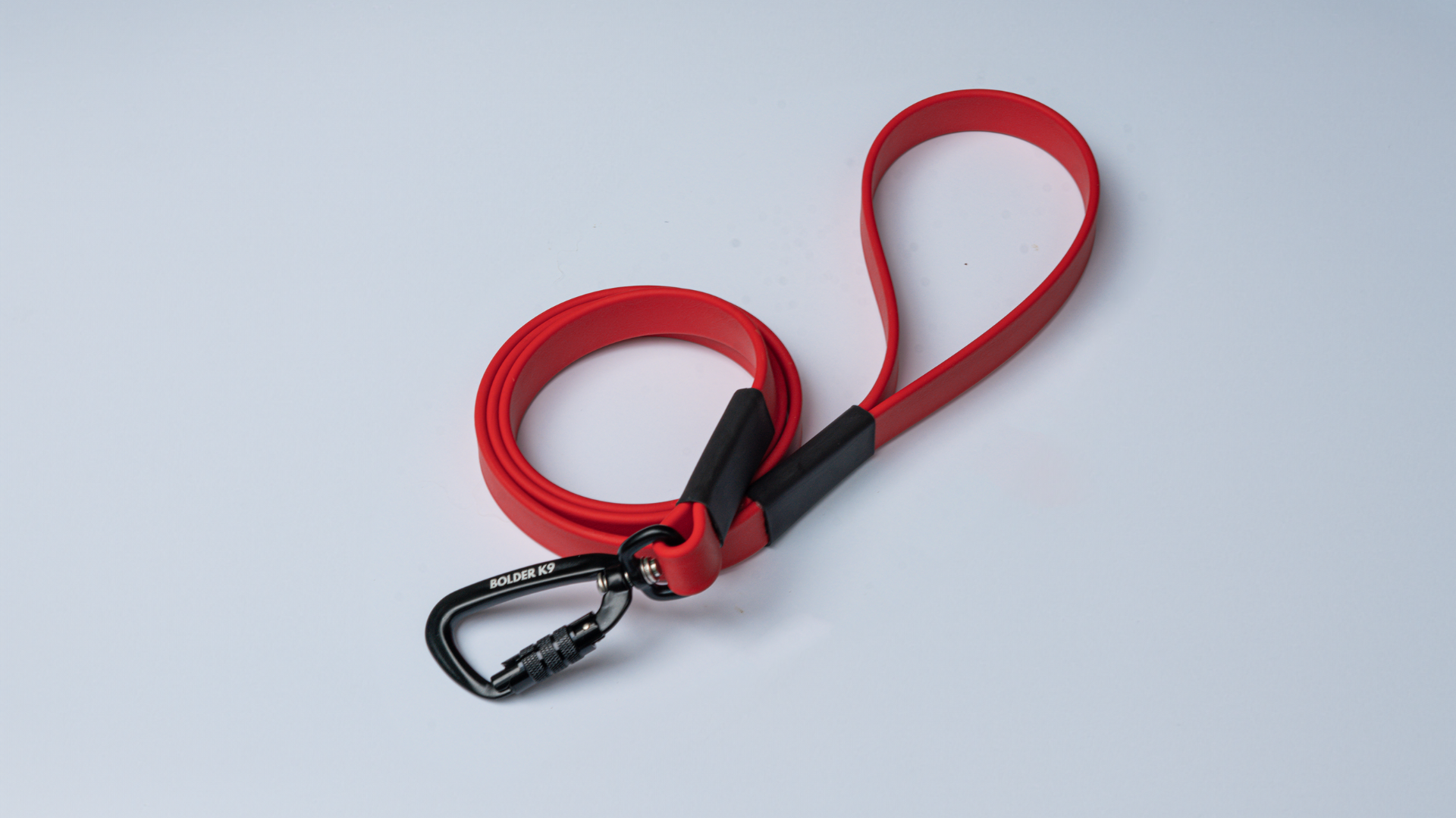 Best End of Summer Dog Gear Finds | Bolder K9