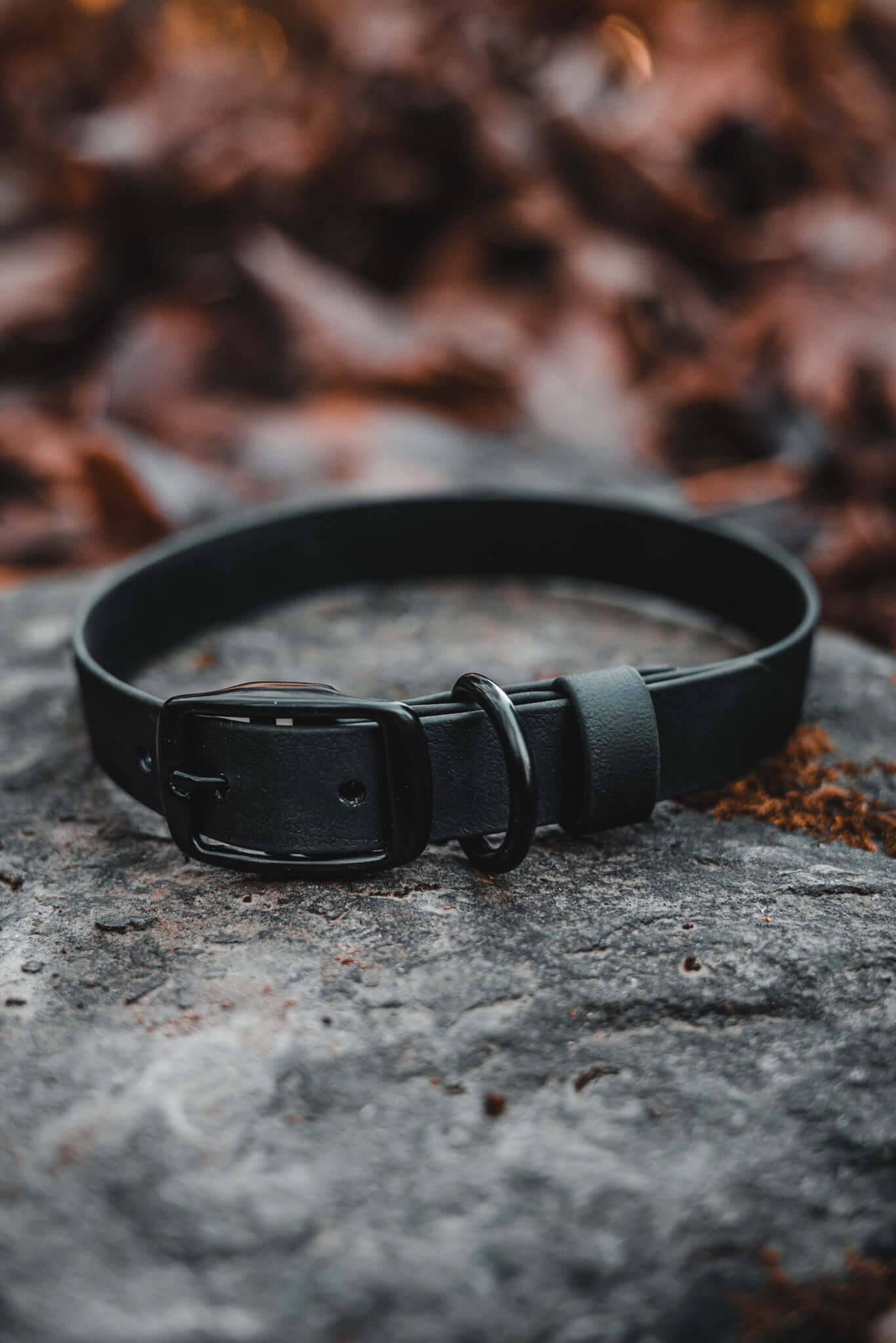 Collars - Customizable and Personalizable BioThane Collars